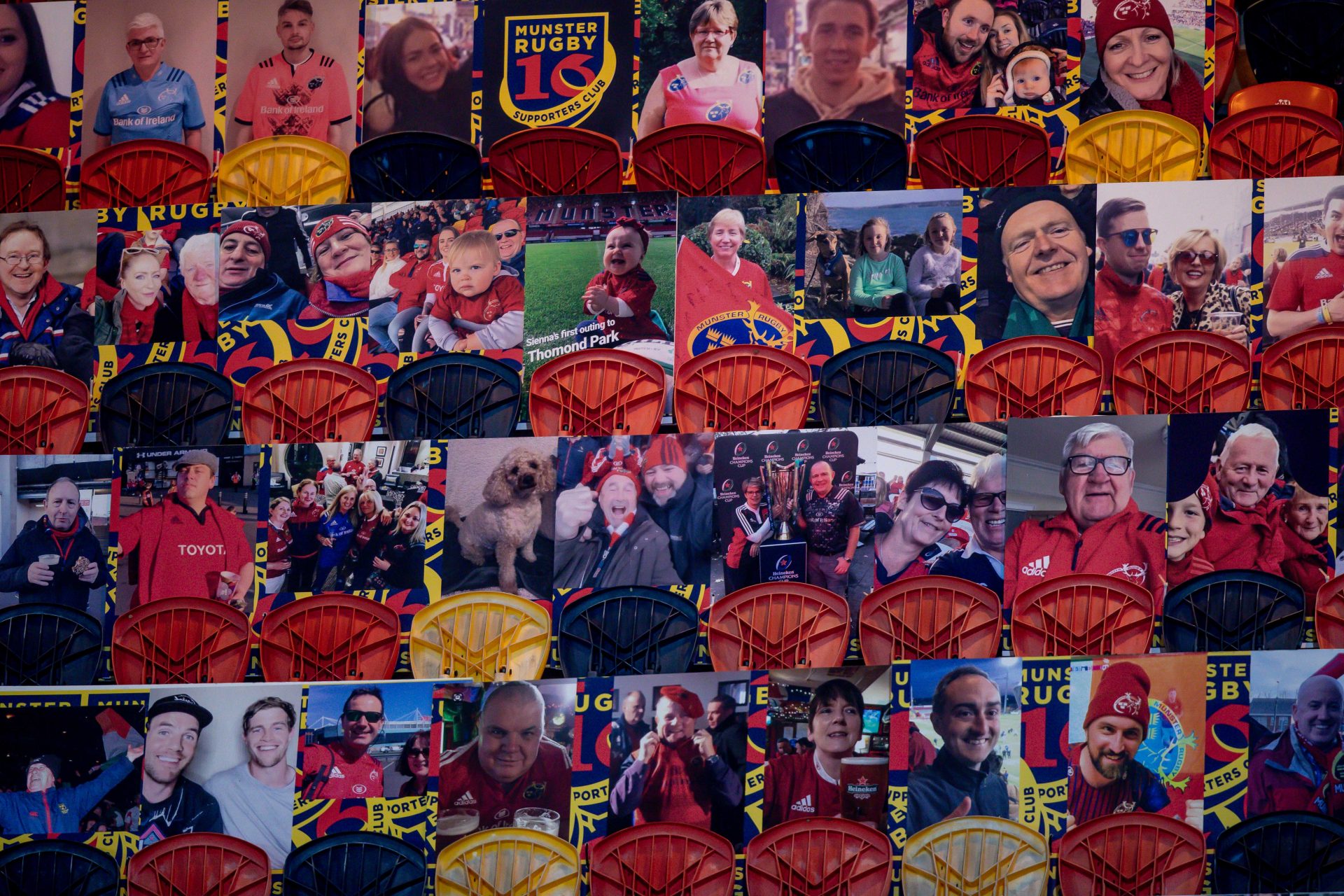 Munster Rugby | Gallery | Latest Be There Fan Portraits