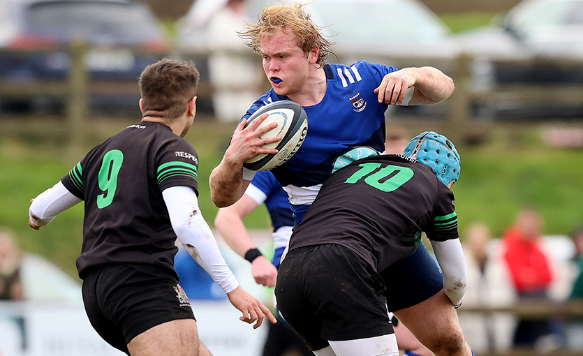 Munster Domestic Rugby | Domestic Rugby