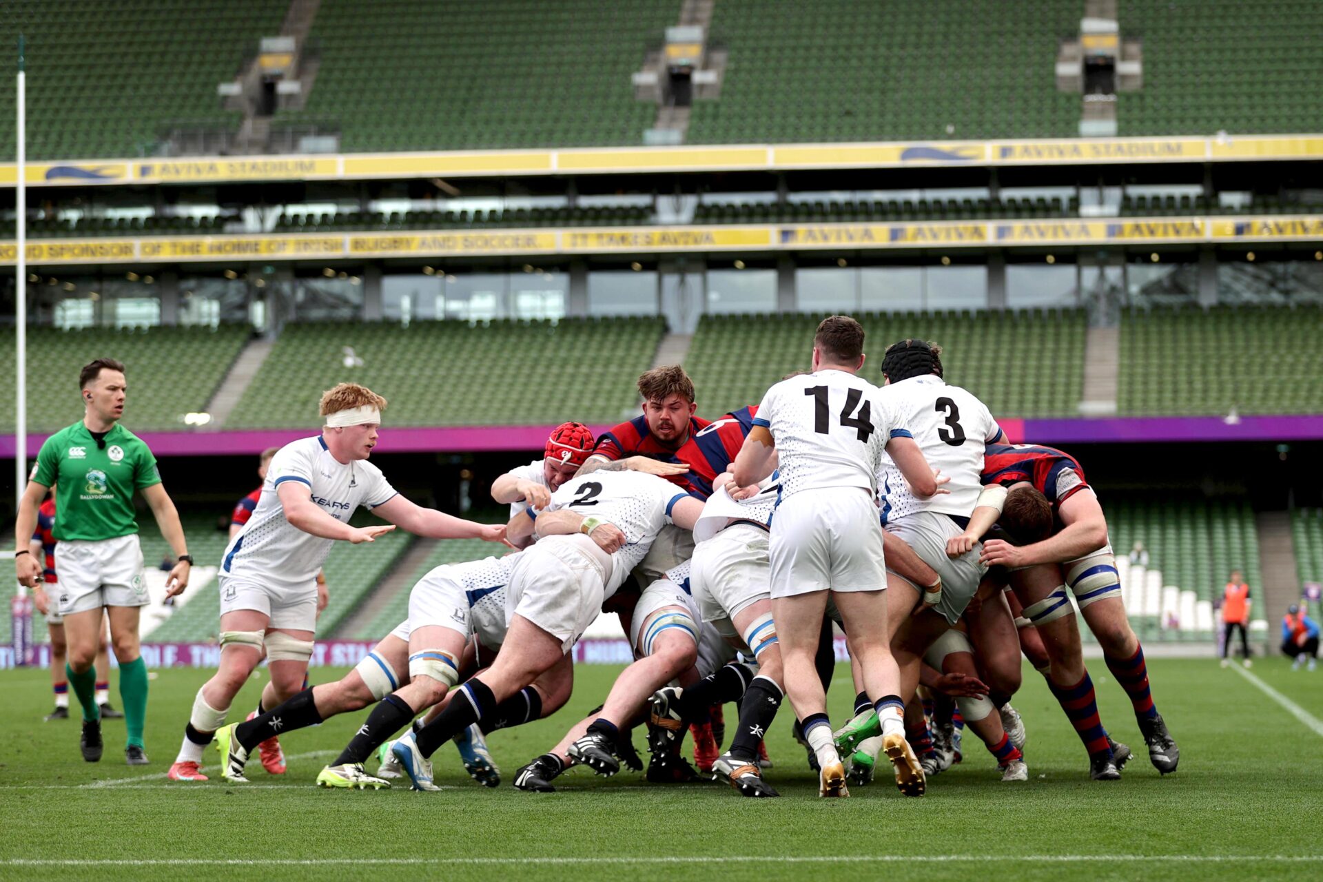 Munster Domestic Rugby | Domestic Rugby