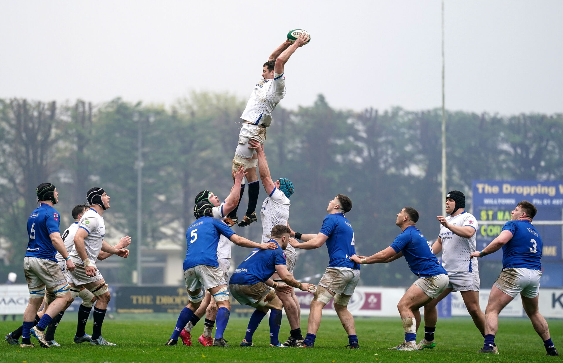 Munster Domestic Rugby | Domestic Rugby