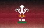 Welsh Rugby Union | Wales & Regions | Homepage
