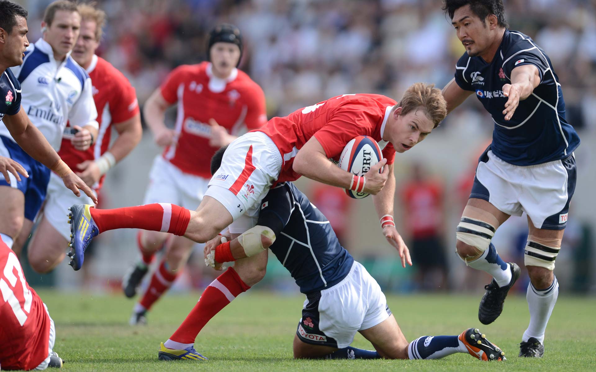 Welsh Rugby Union | Wales & Regions | Japan v Wales: Match highlights