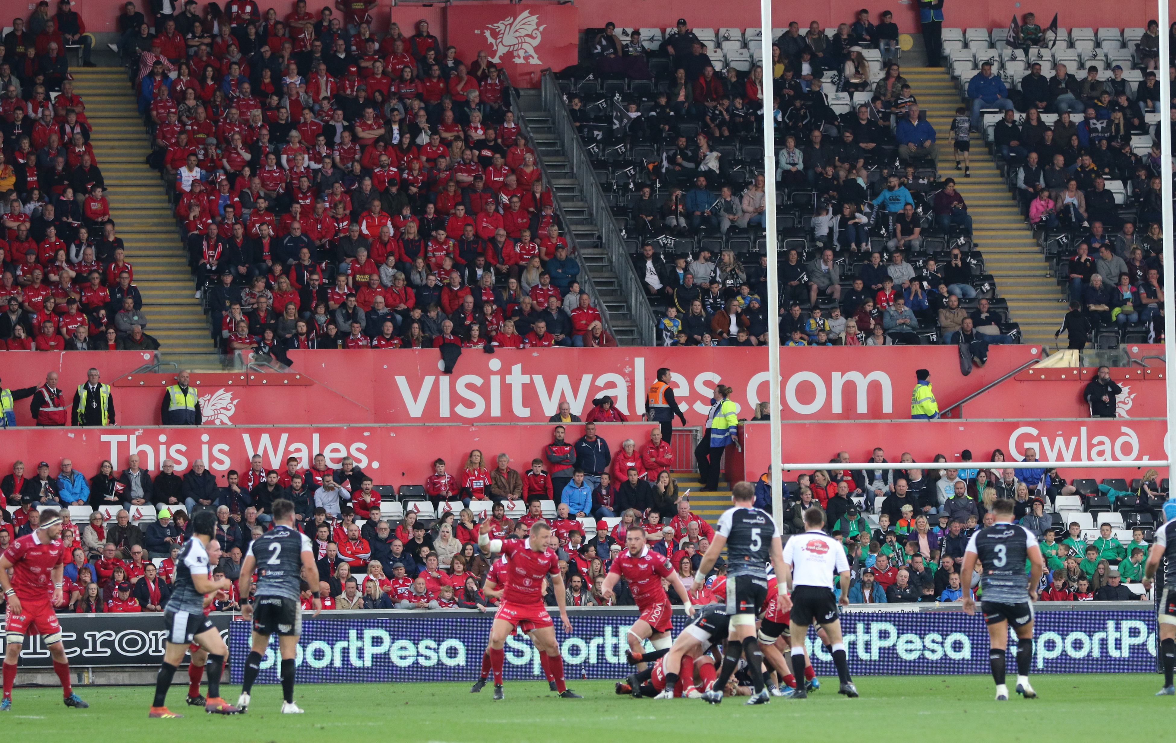 Fans of Scarlets rugby team, Llanelli, West Wales
