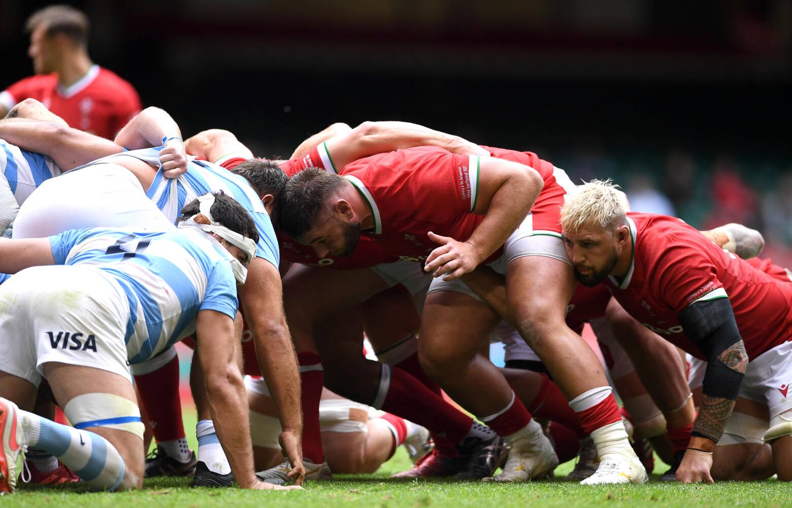 Welsh Rugby Union - Thomas ready for proud moment