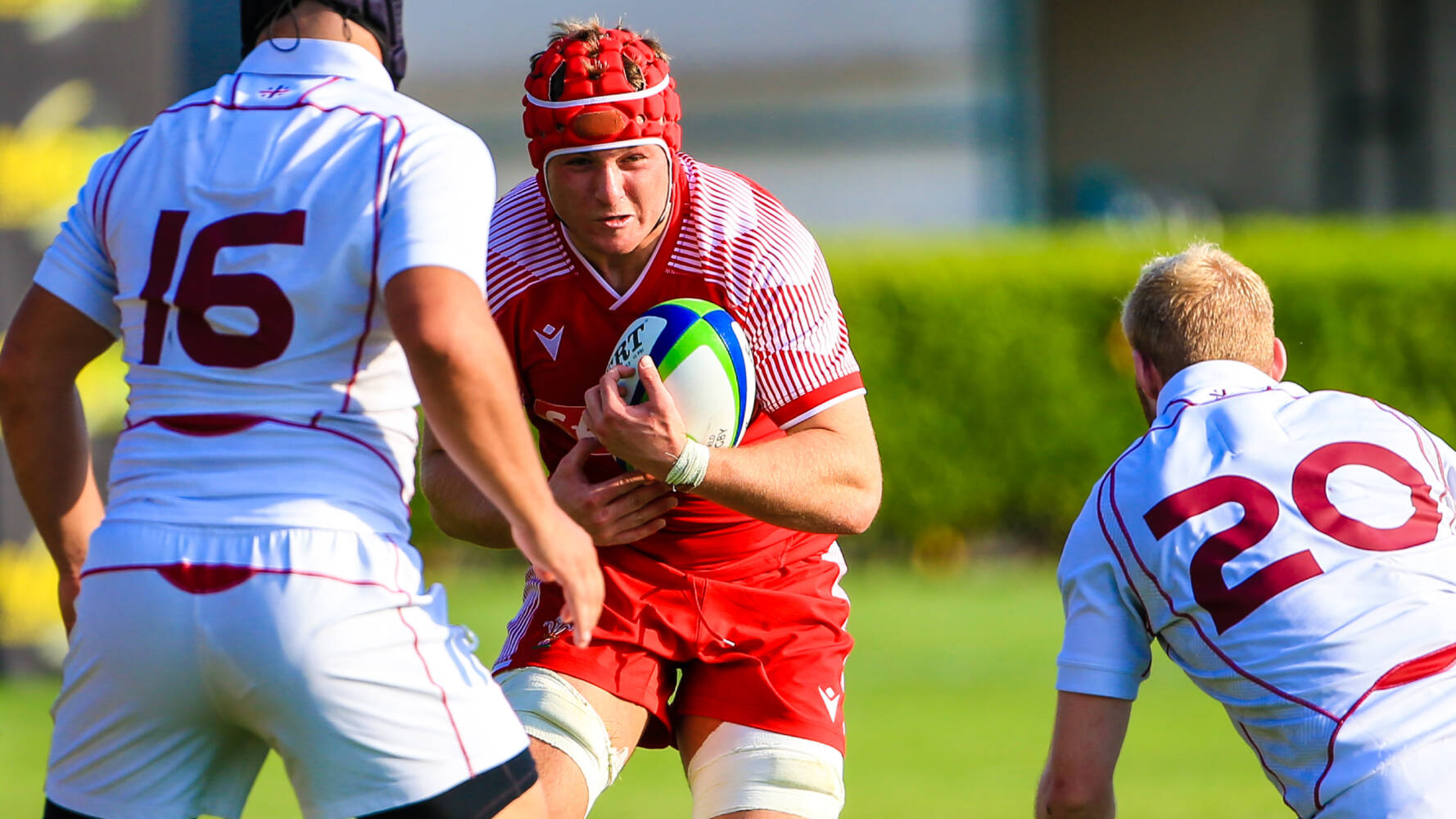 Welsh Rugby Union | Wales & Regions | Williams nails down Wales chance