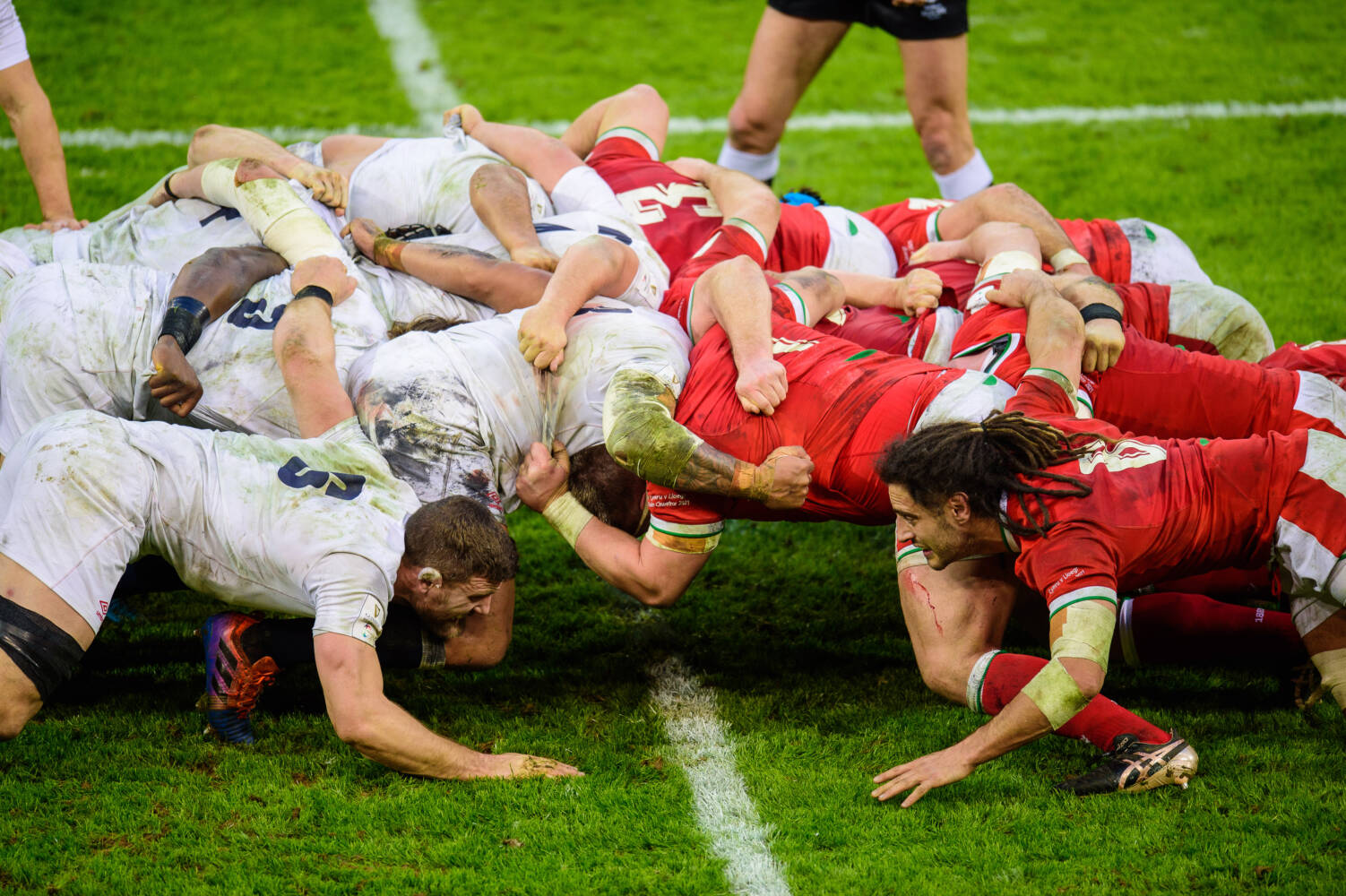 Welsh Rugby Union - Wales to play summer matches against England (twice ...