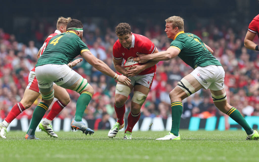 Welsh Rugby Union | Wales & Regions | Springboks inflict heavy defeat ...