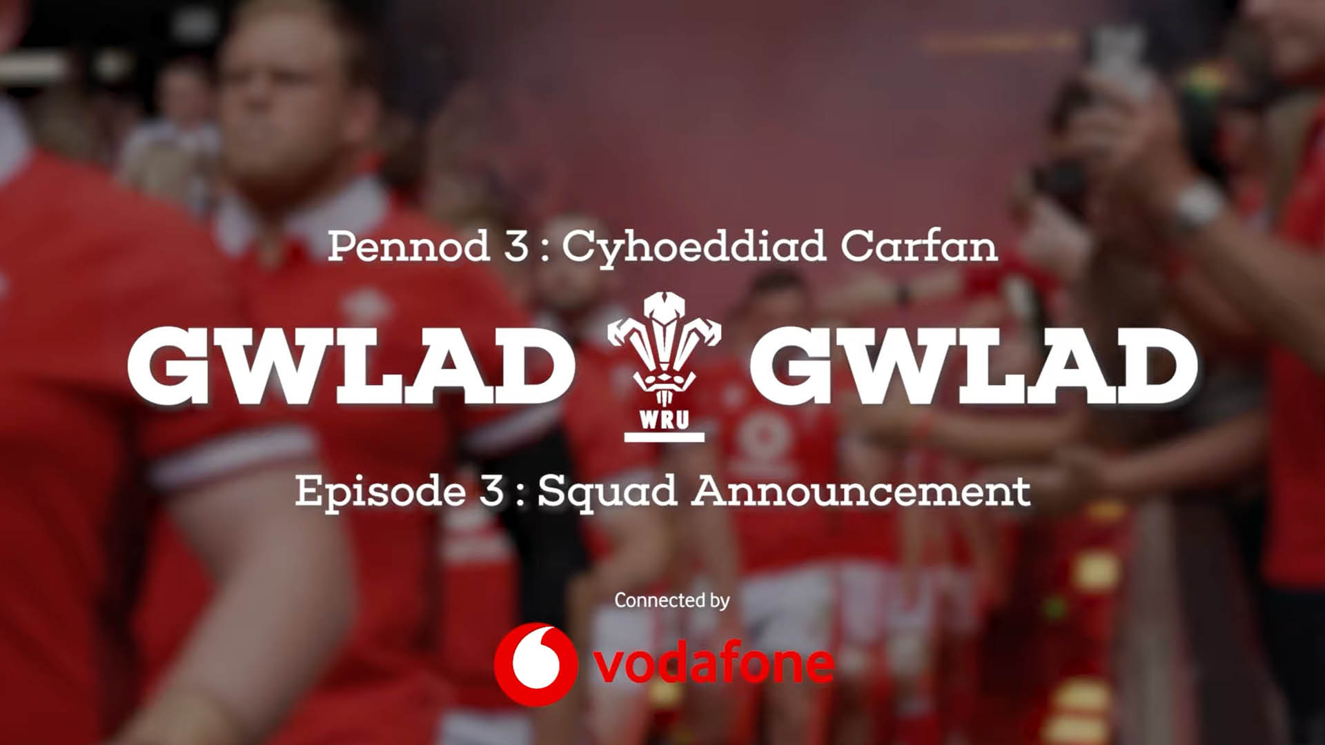 Welsh Rugby Union | Wales & Regions | Wales World Cup squad announced
