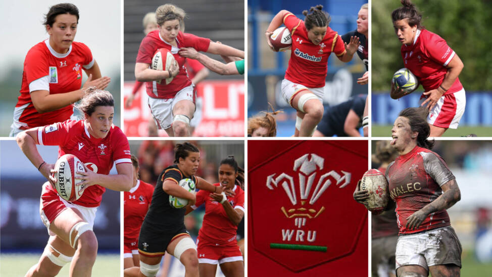 Welsh Rugby Union | Wales & Regions | Wales legend Harries announces retirement