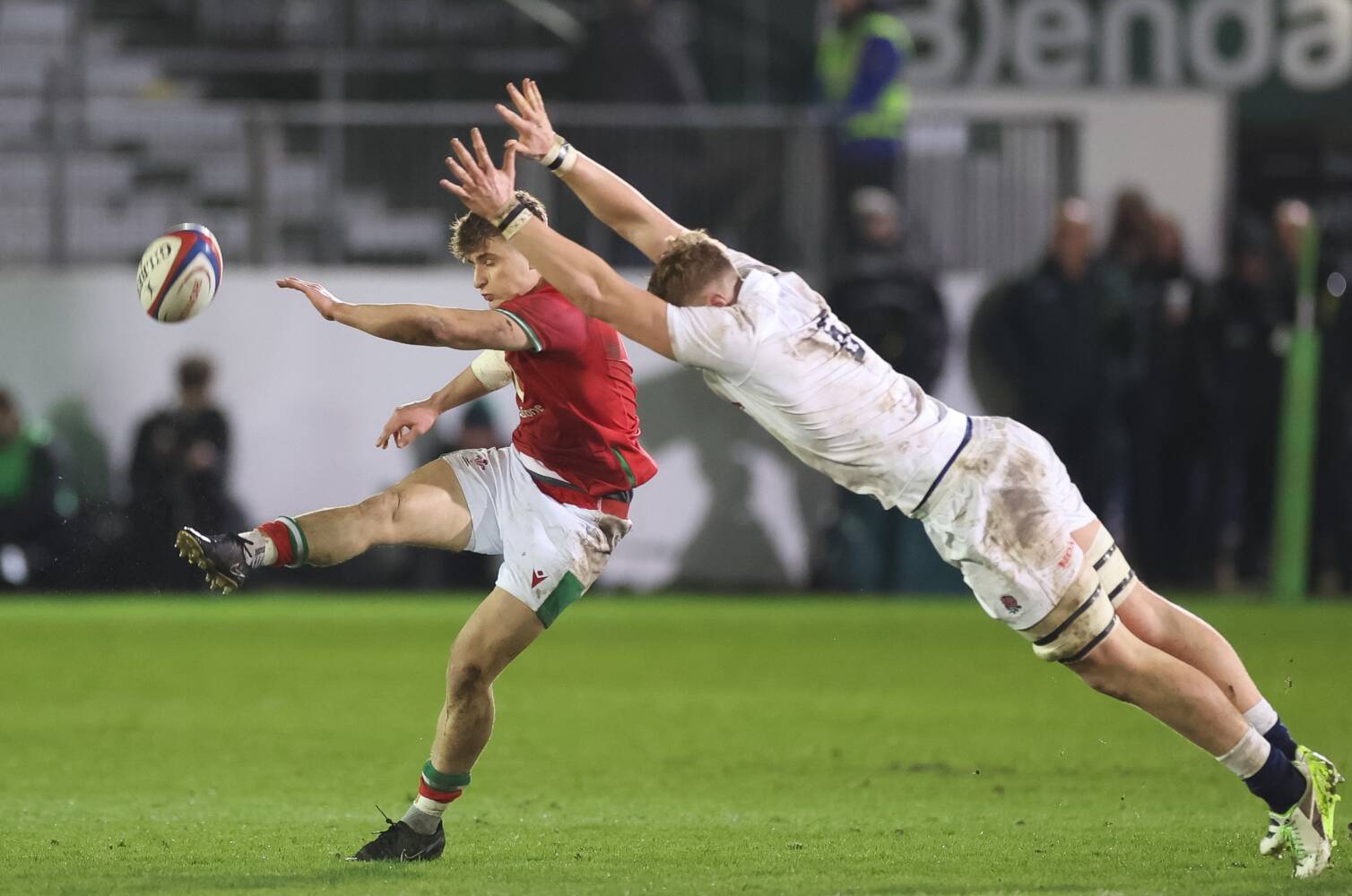 Welsh Rugby Union - Home is where the heart is for Davies
