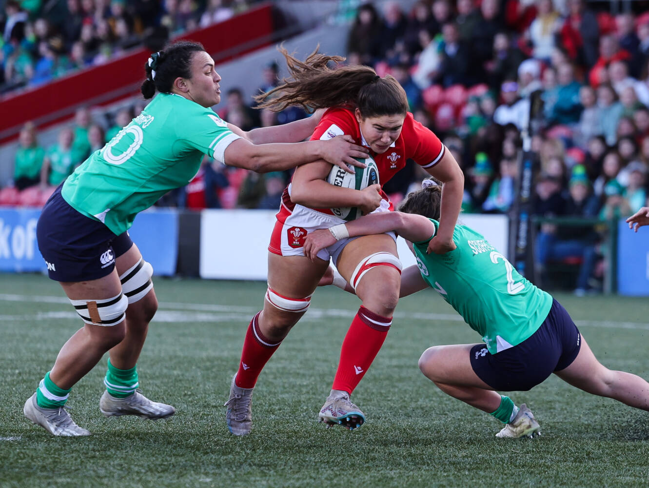 Welsh Rugby Union | Wales & Regions | Rising star Hopkins aiming high