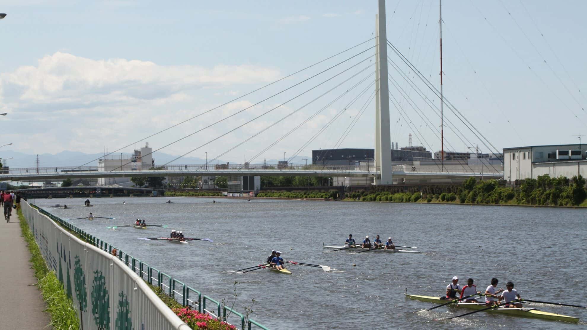 Japan thrives at home regatta for Asian Cup - World Rowing