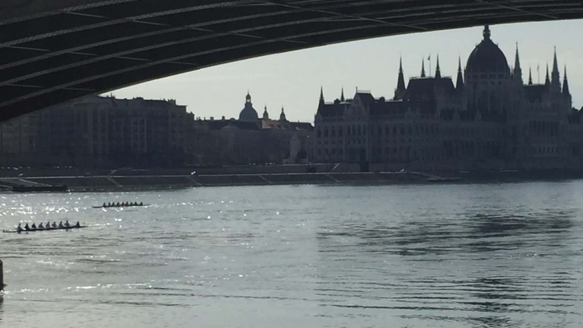 Budapest Cup Regatta draws record numbers - World Rowing