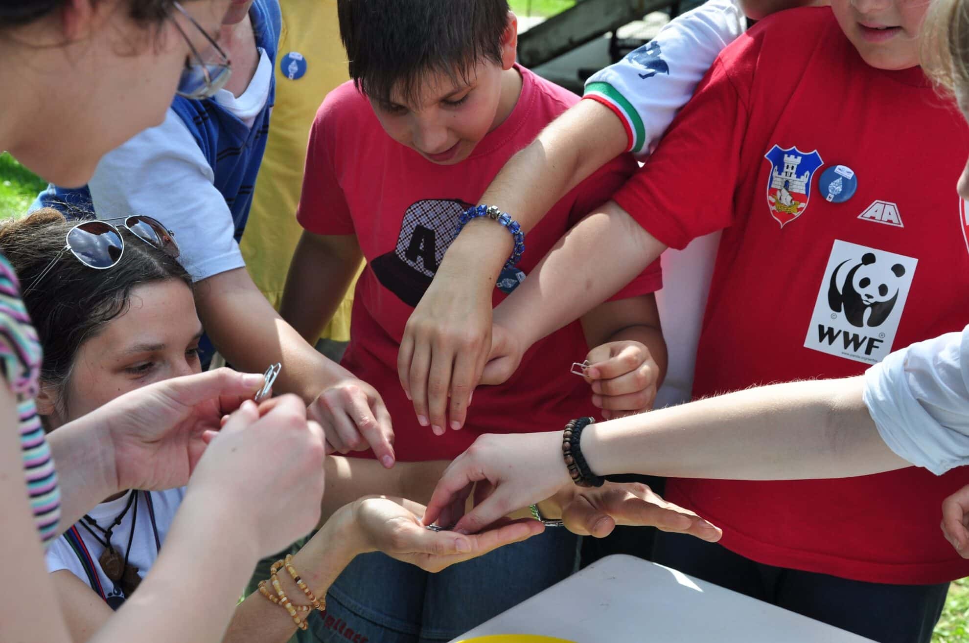 Strategic Alliance with WWF International - World Rowing