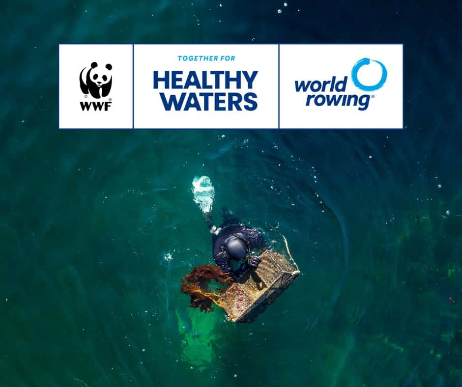 It's In Our Nature: Norwegian Rowing Community Leads Marine Restoration ...