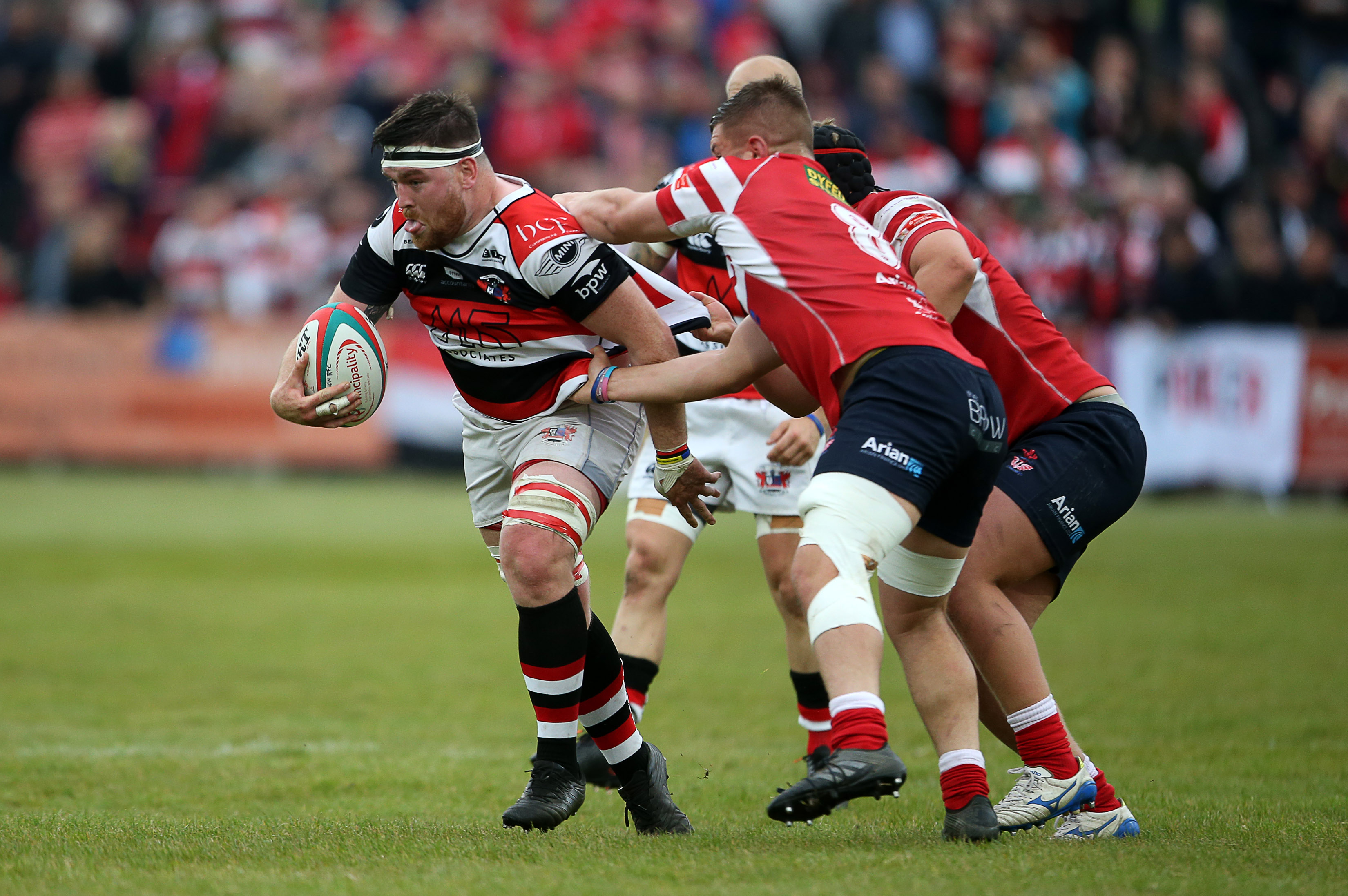 Welsh Rugby Union | Club & Community | 50 up for Championship giants Pooler