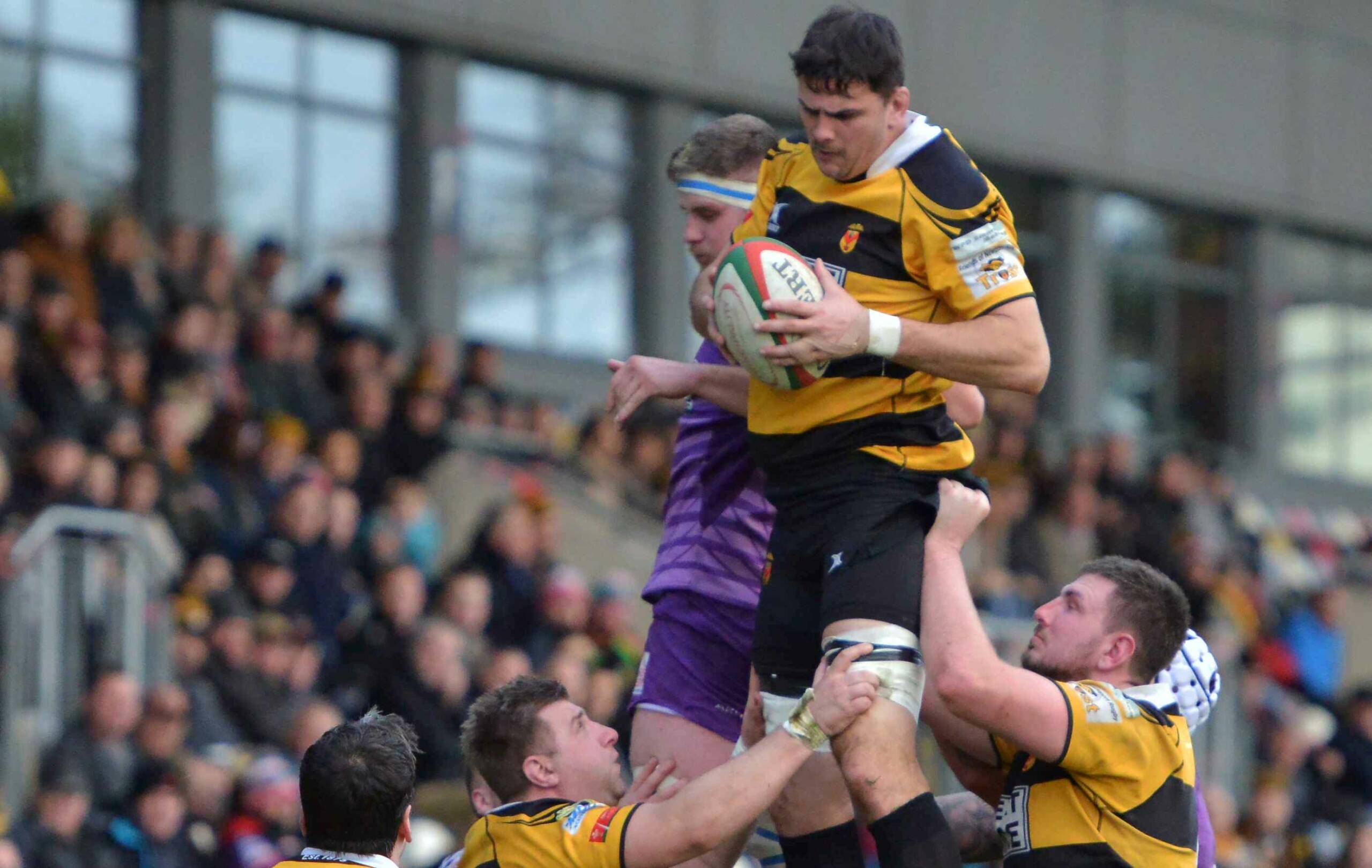Welsh Rugby Union | Club & Community | Brown boost for Newport