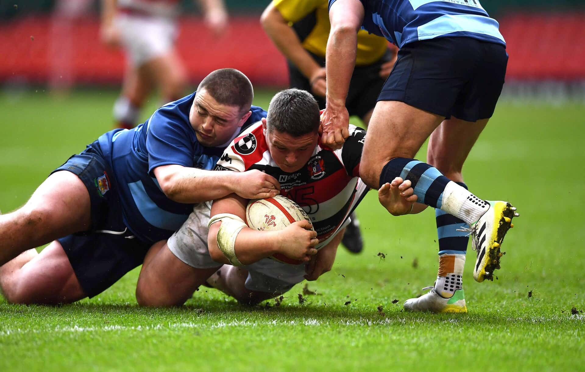 Welsh Rugby Union | Club & Community | Indigo Premiership fixtures ...